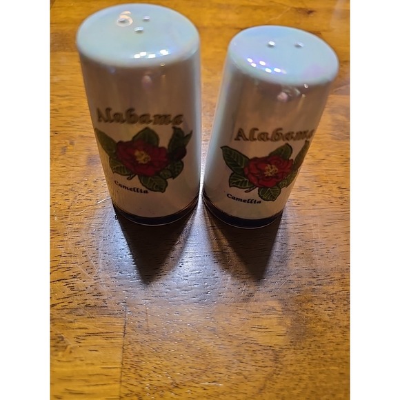 The Unbranded Brand | Dining | Vintage Souvenir Salt Shaker From ...